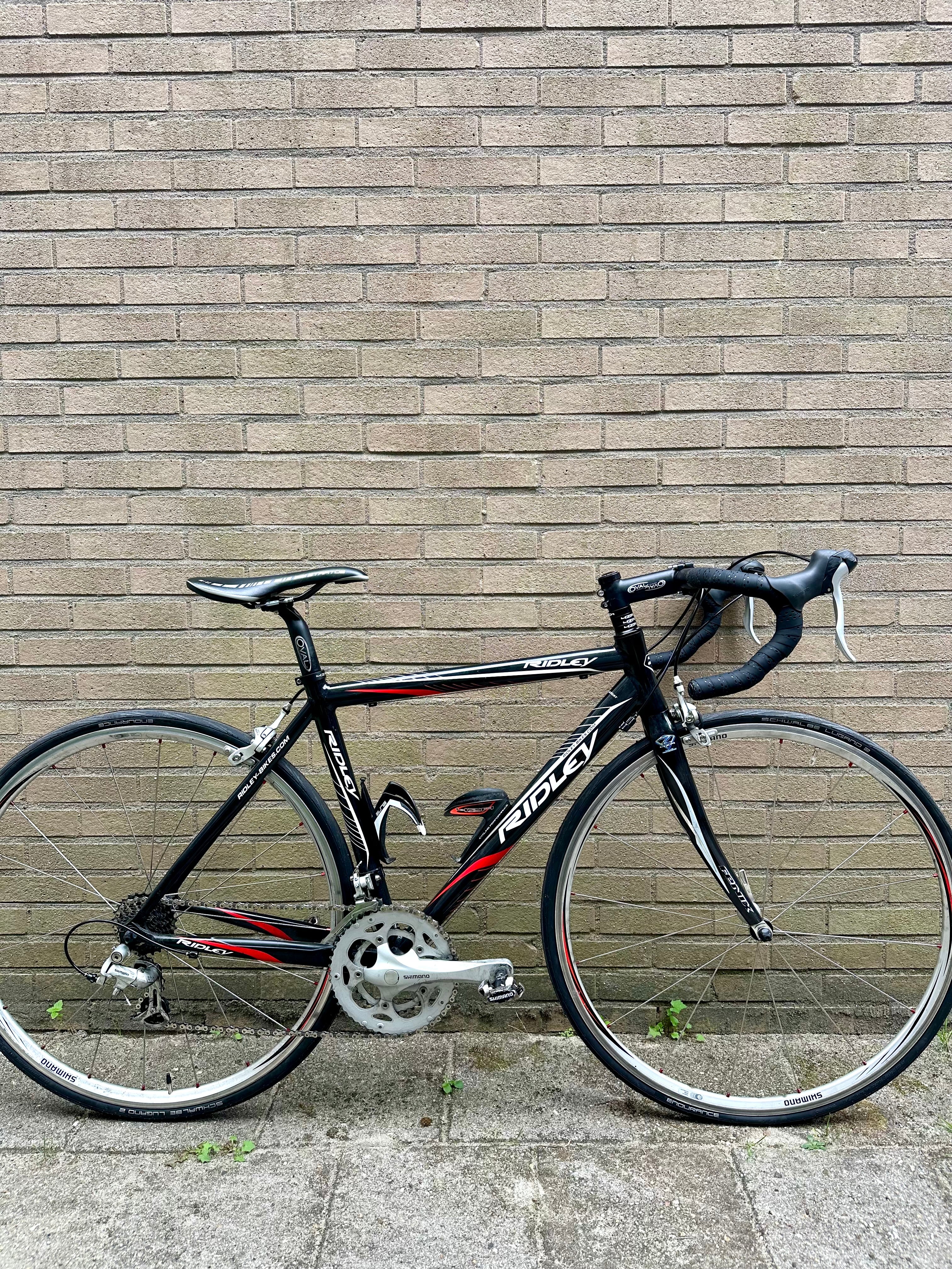 Ridley Fenix 48cm – Retro Bike Rotterdam